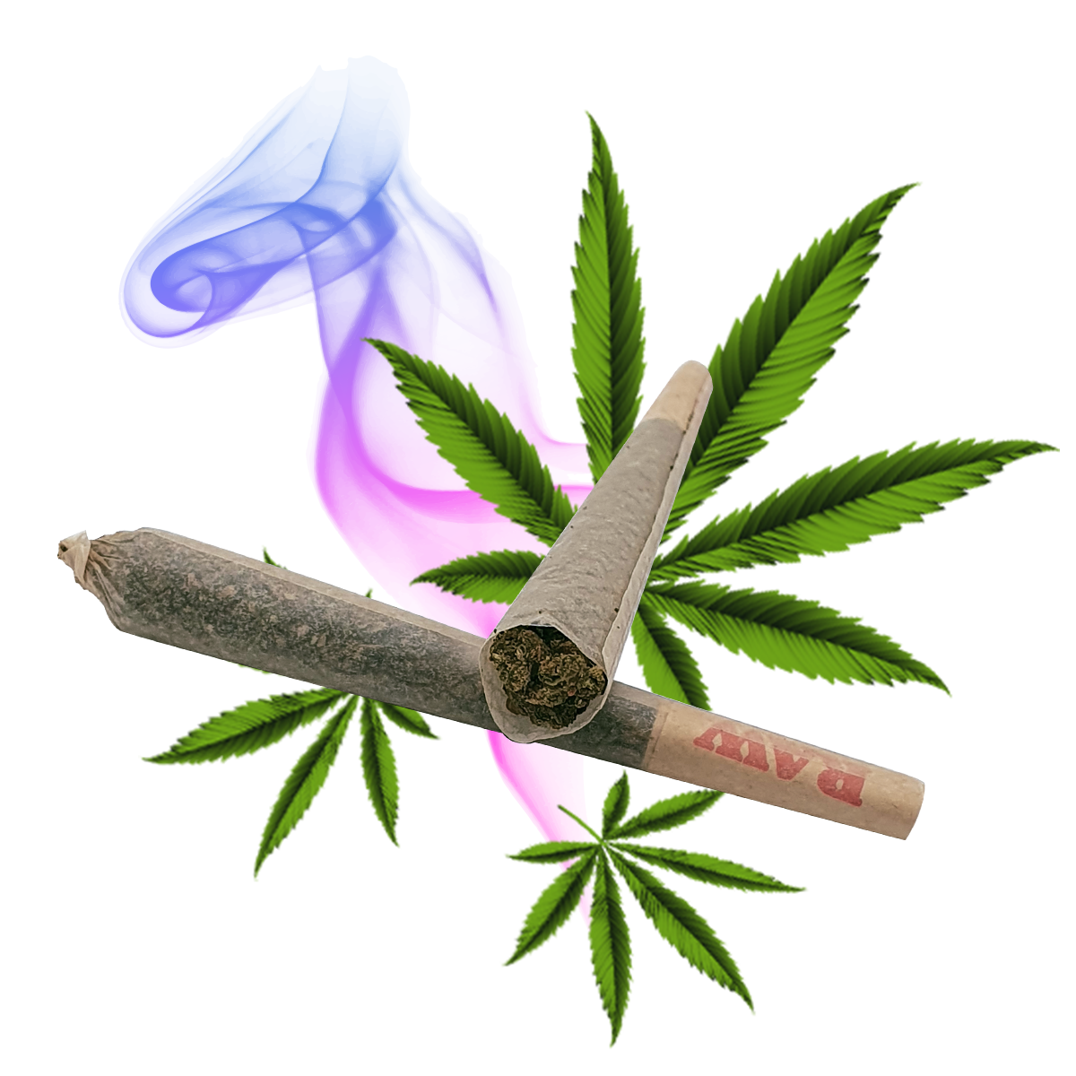 Pré Roulés CBD LE SPLIFF® - Le Spliff